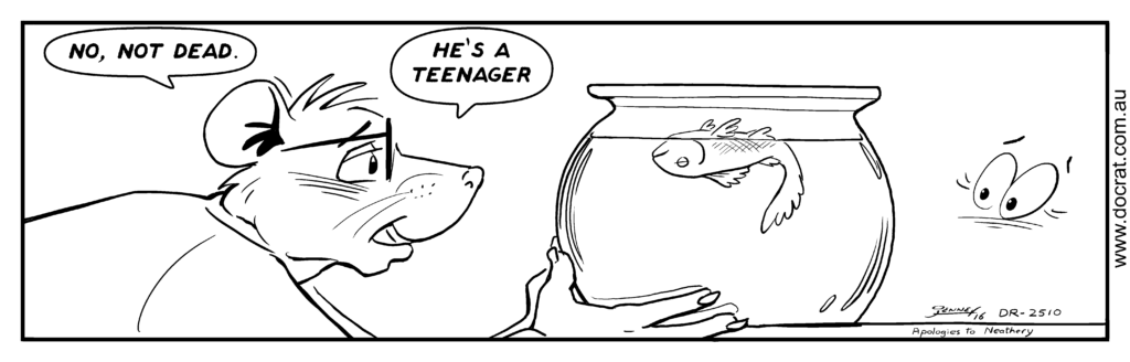 Dr Benjamin Rat – Doc Rat – A daily comic strip by Jenner