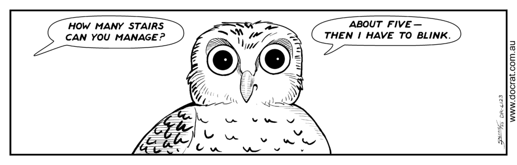 The owl and the flight of stares – Doc Rat – A daily comic strip by Jenner